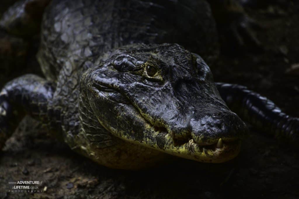 Travel & Adventure Photo Gallery | Adventure of a Lifetime